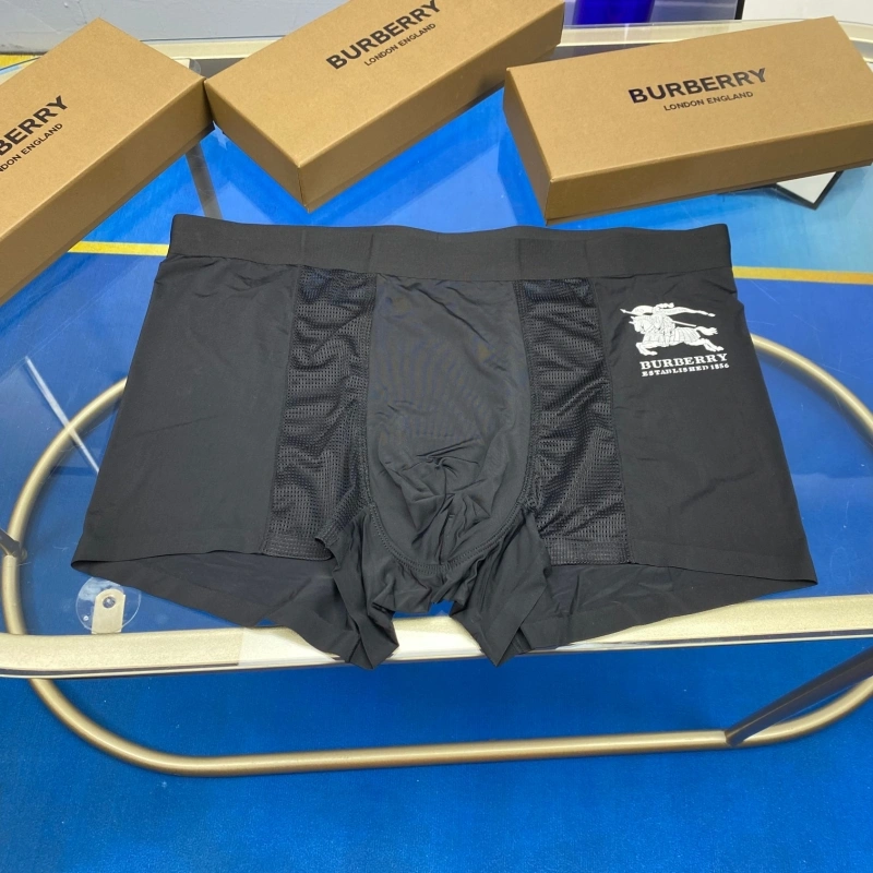 Real Burberry Underwear