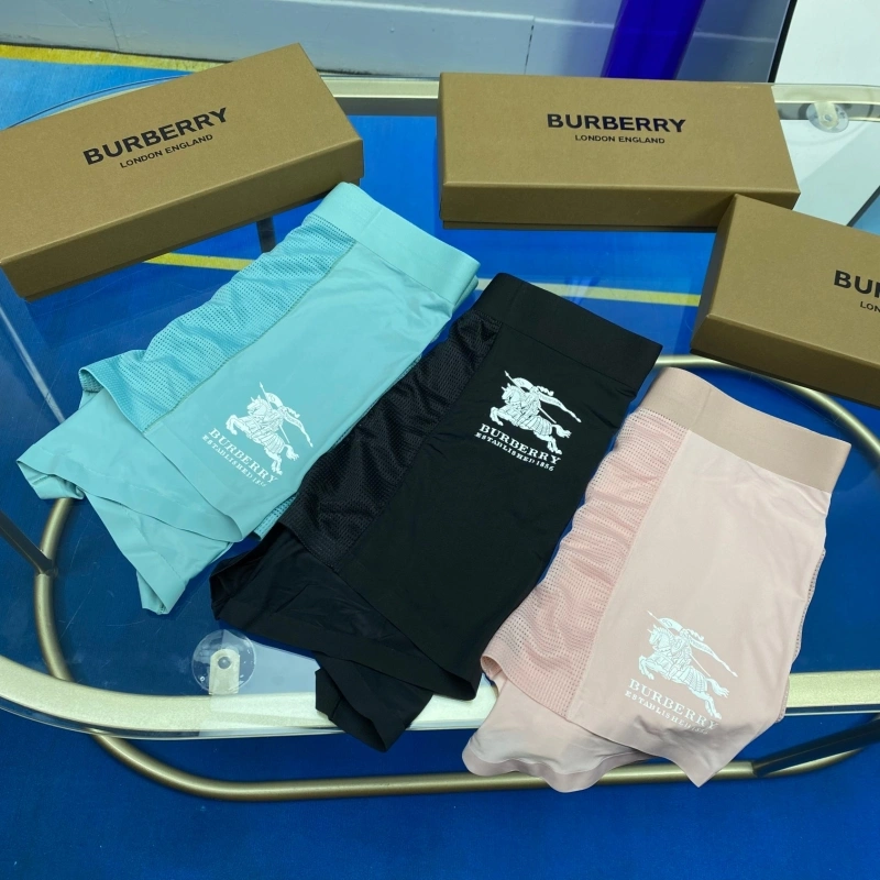 Real Burberry Underwear