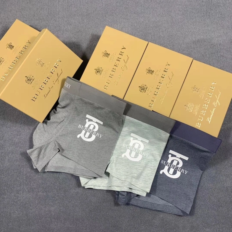 Factory-made Burberry Underwear