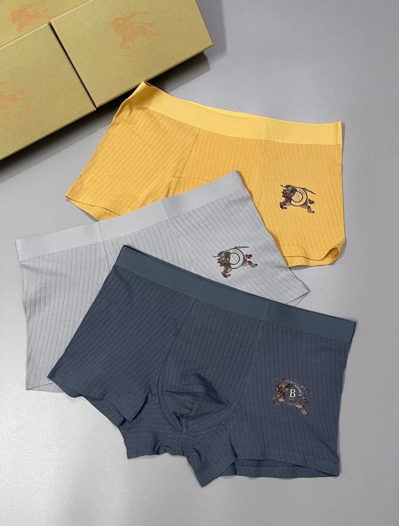 Factory-made Burberry Underwear