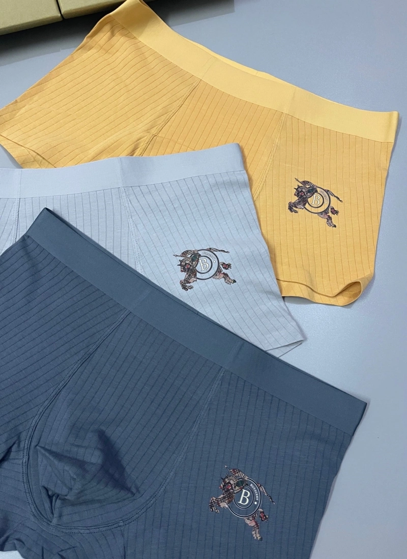 Factory-made Burberry Underwear