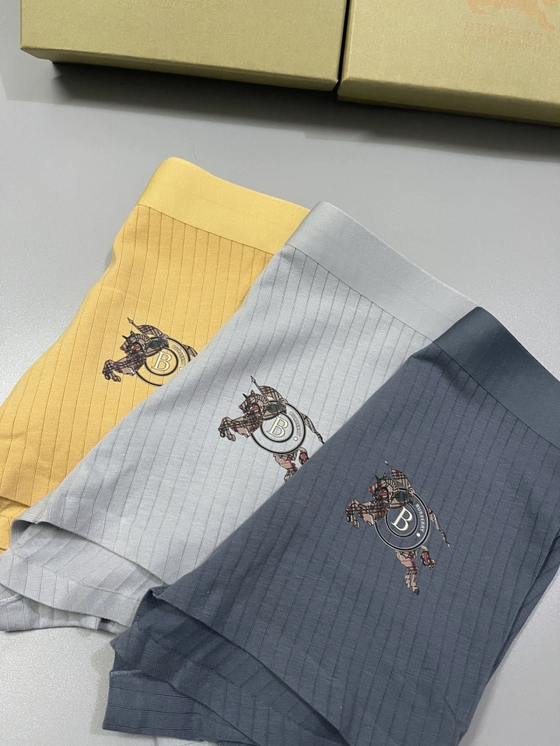 Factory-made Burberry Underwear
