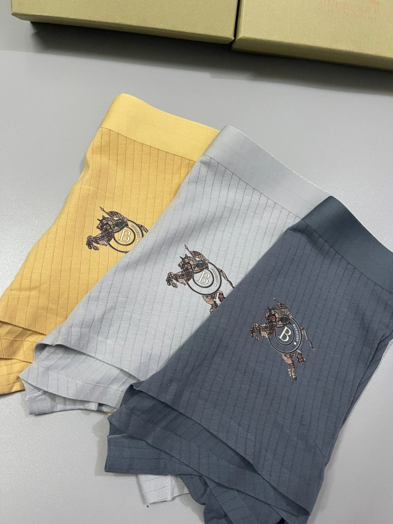 Factory-made Burberry Underwear