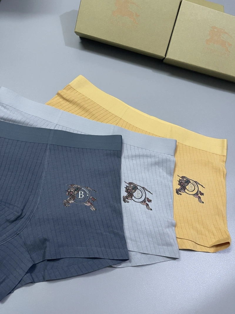 Factory-made Burberry Underwear