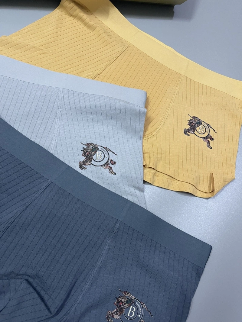 Factory-made Burberry Underwear