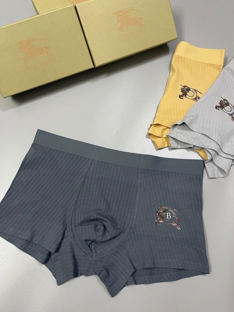 Factory-made Burberry Underwear