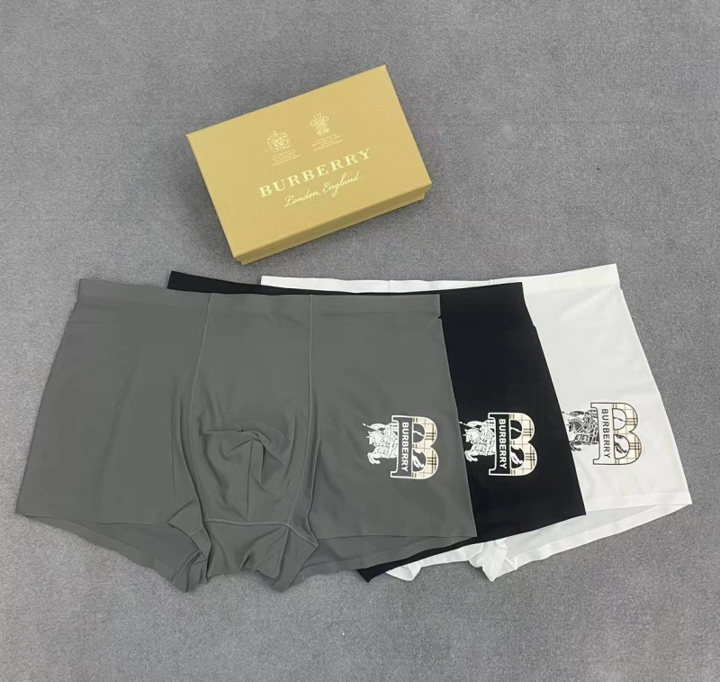 Inexpensive Burberry Underwear