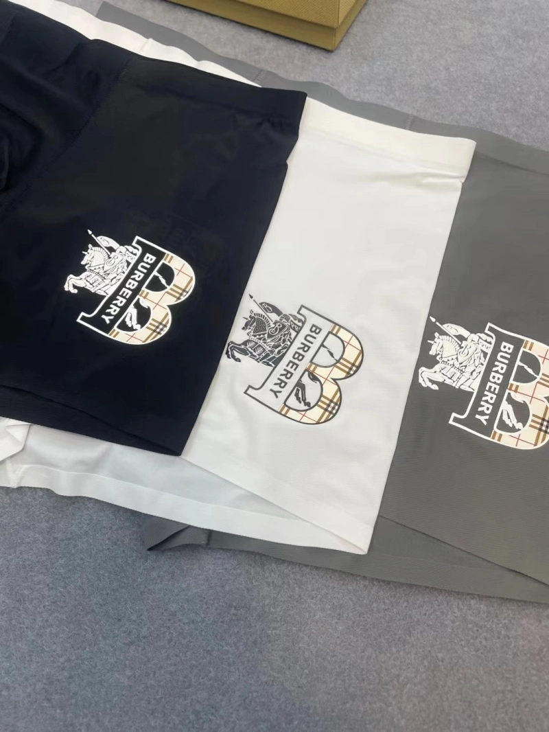 Inexpensive Burberry Underwear