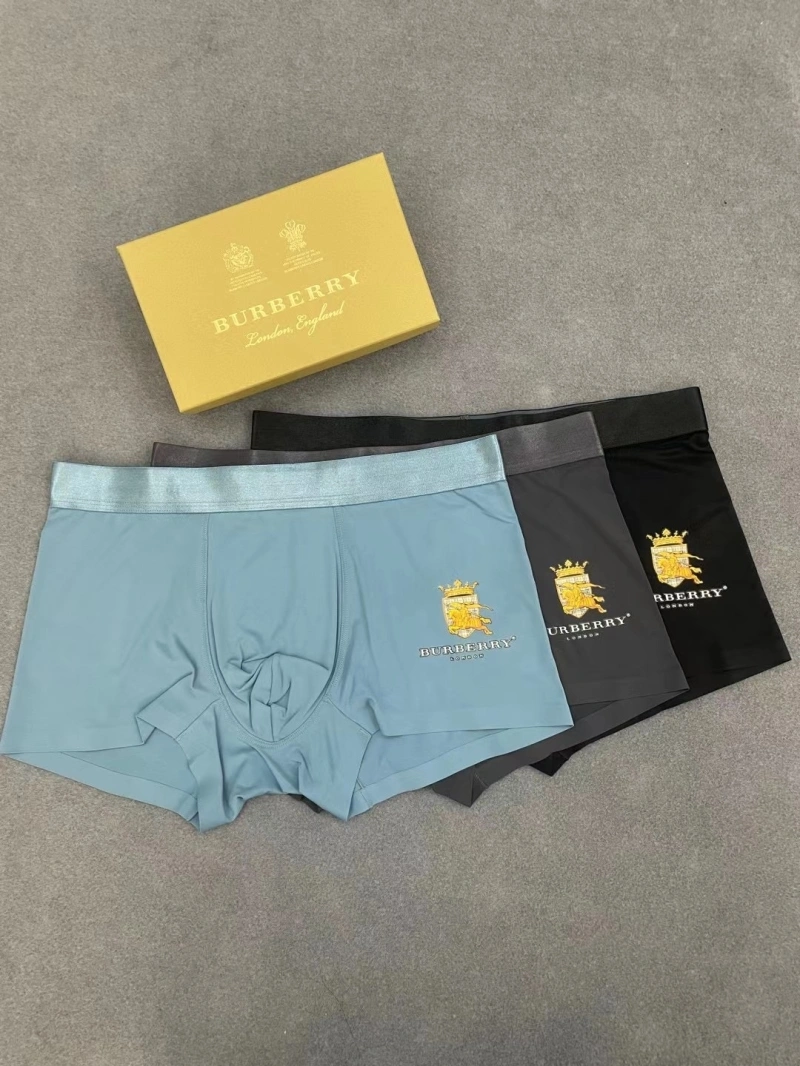Legit Burberry Underwear