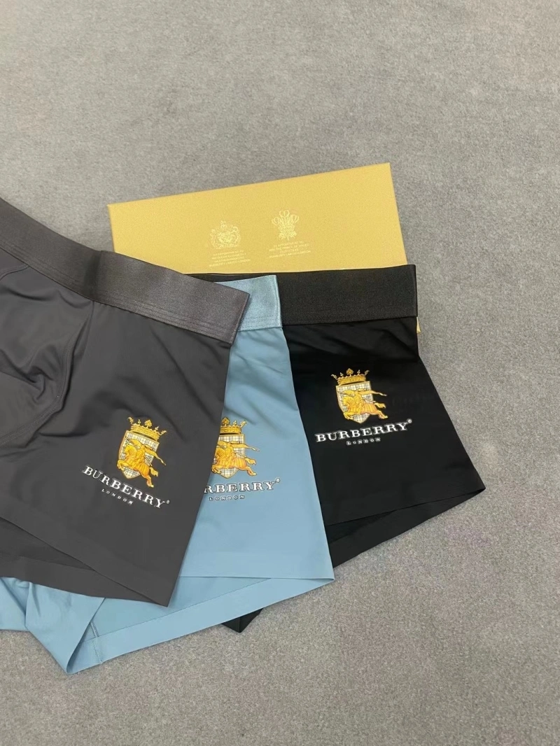 Legit Burberry Underwear