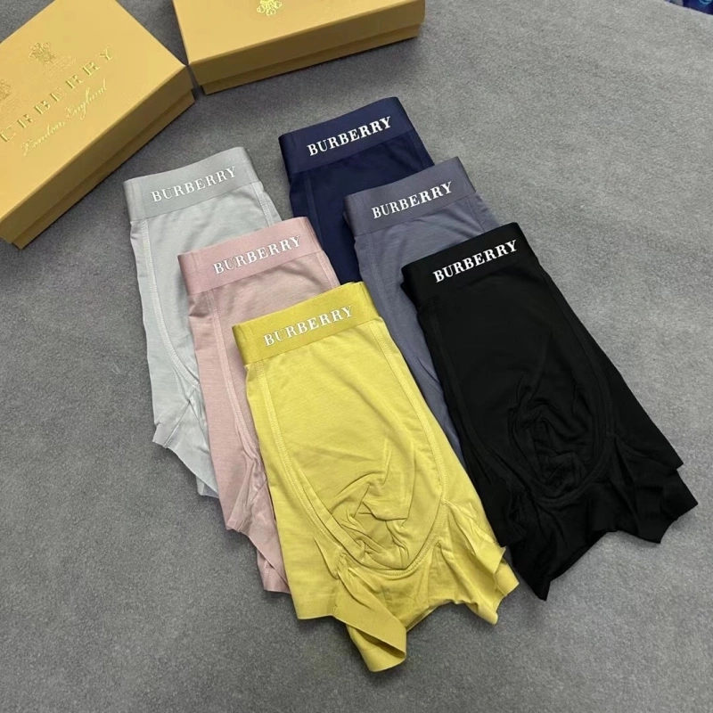 Value-priced Burberry Underwear