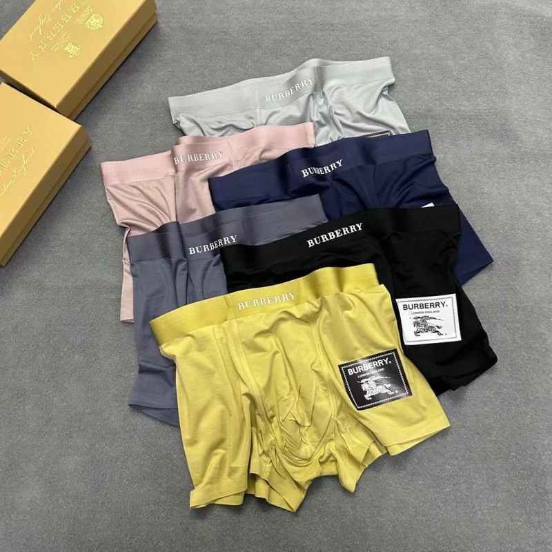 Value-priced Burberry Underwear