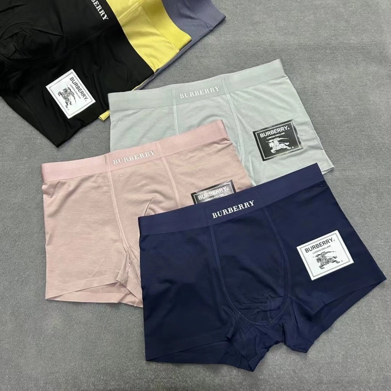 Value-priced Burberry Underwear