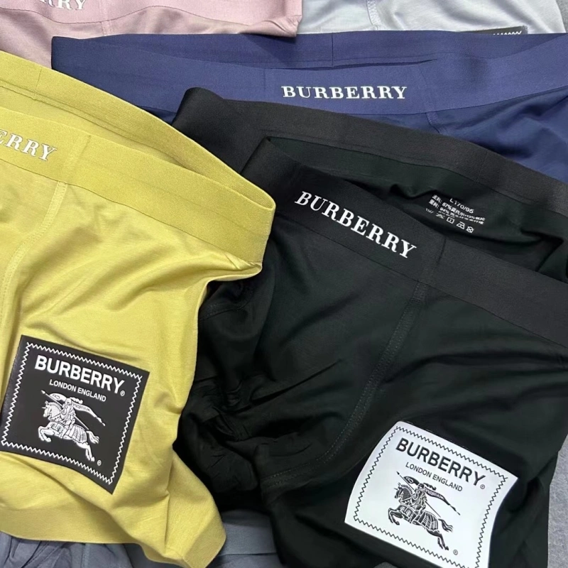 Value-priced Burberry Underwear