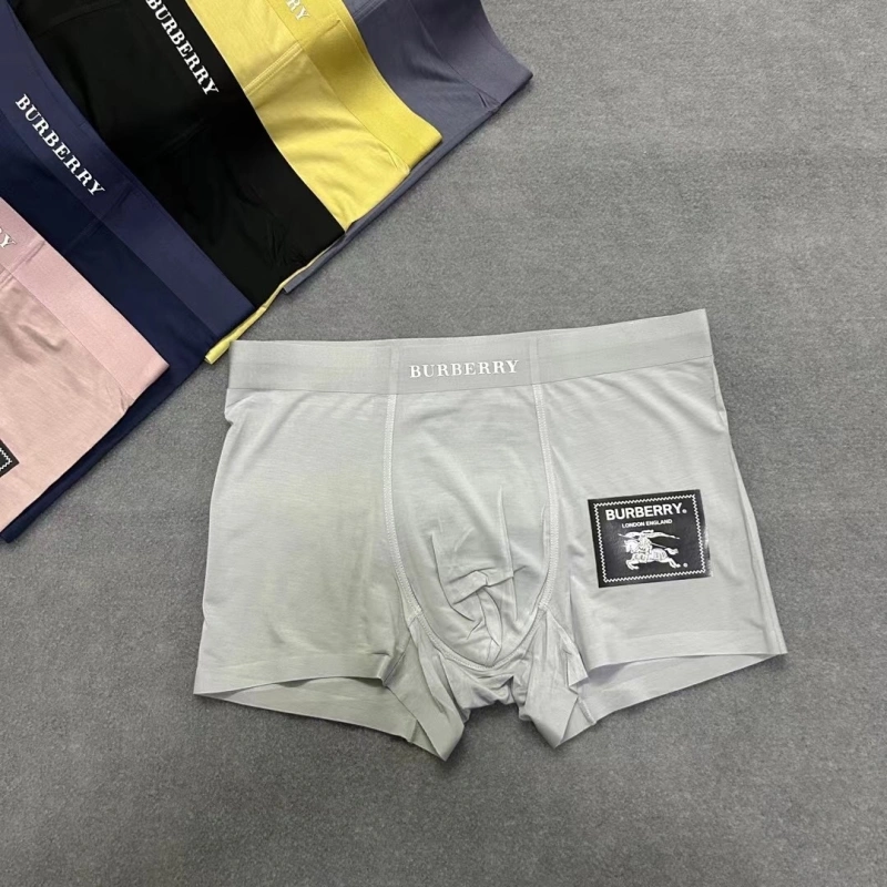 Value-priced Burberry Underwear