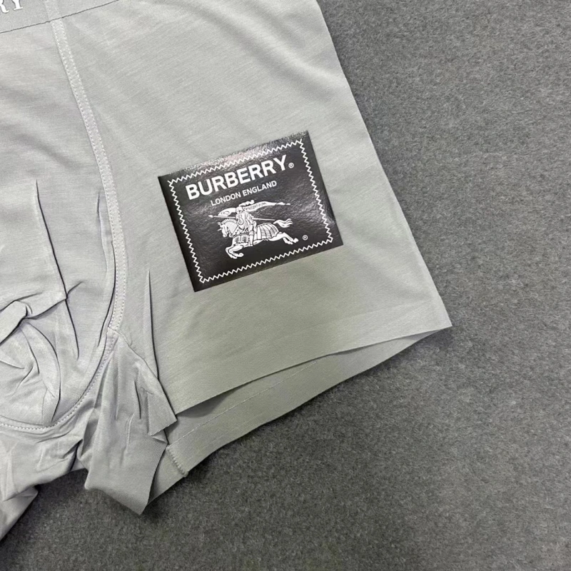 Value-priced Burberry Underwear