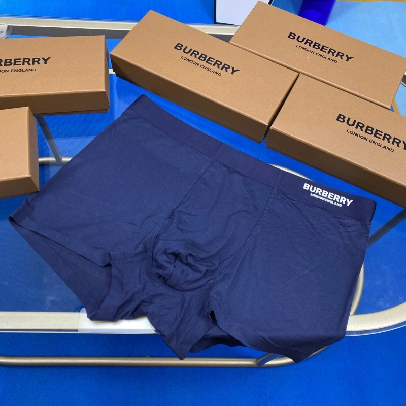 Legit Burberry Underwear