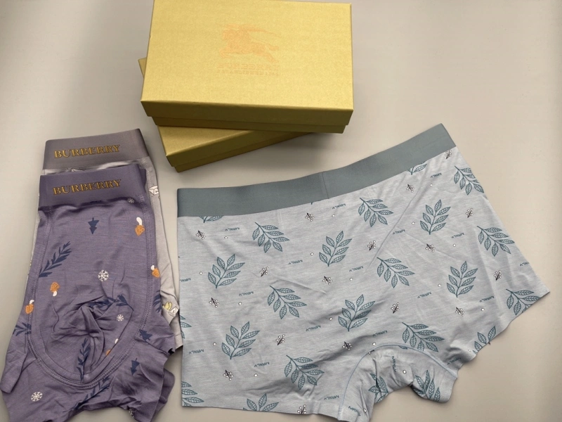Low-cost Burberry Underwear