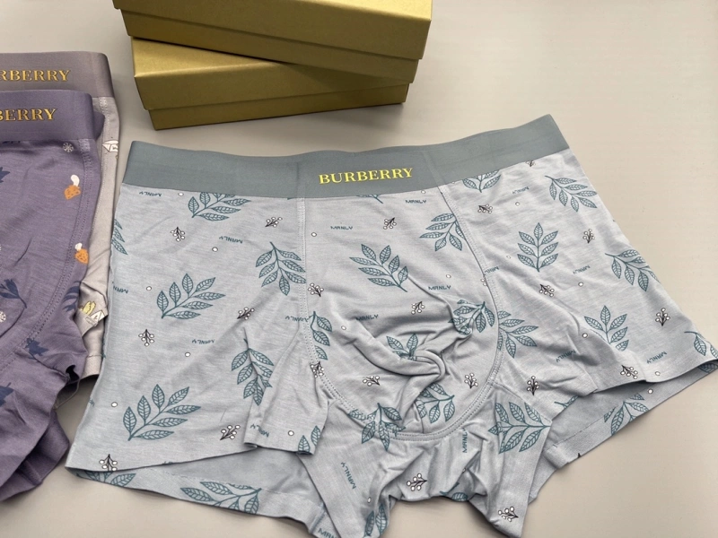 Low-cost Burberry Underwear