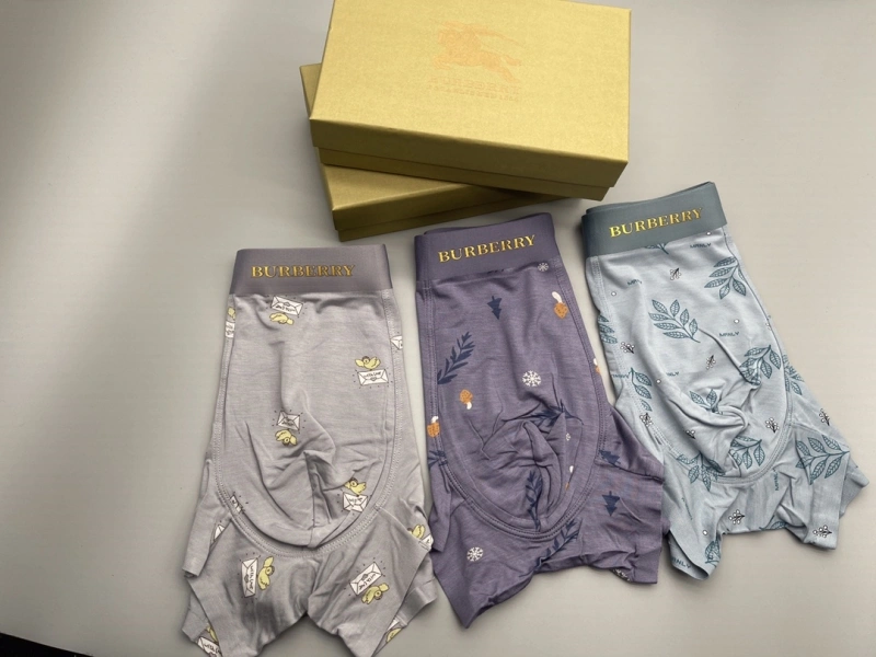 Low-cost Burberry Underwear