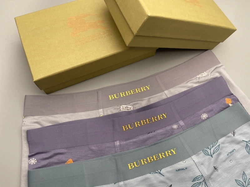 Low-cost Burberry Underwear