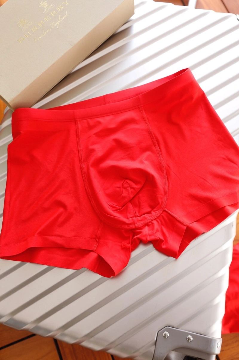 Real Burberry Underwear