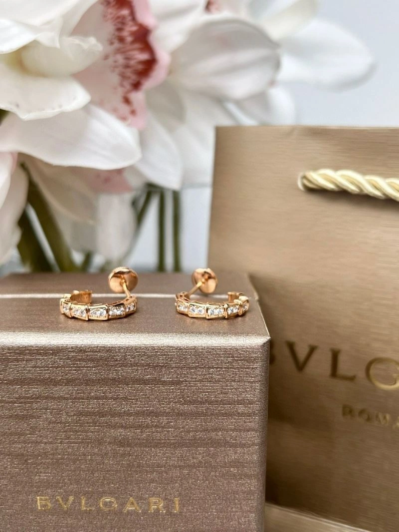 Accurate model Bvlgari Earrings