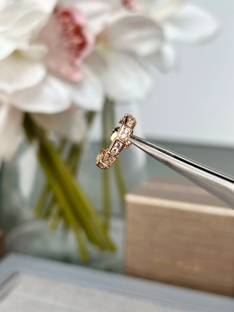 Accurate model Bvlgari Earrings