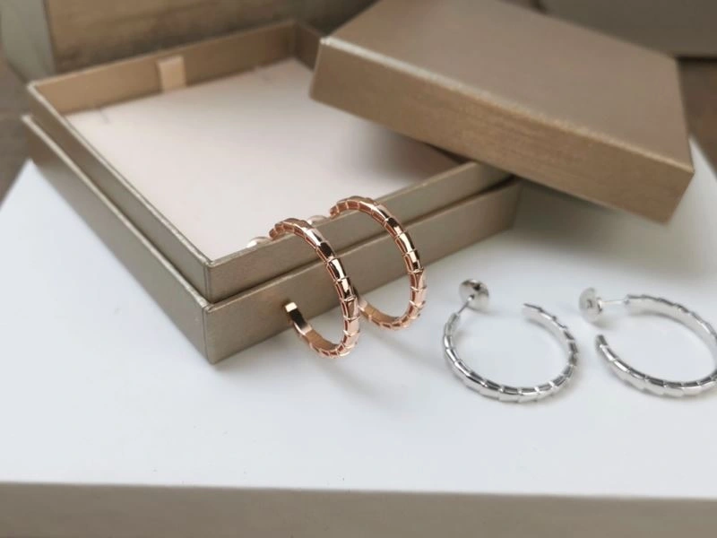 Reasonably priced Bvlgari Earrings