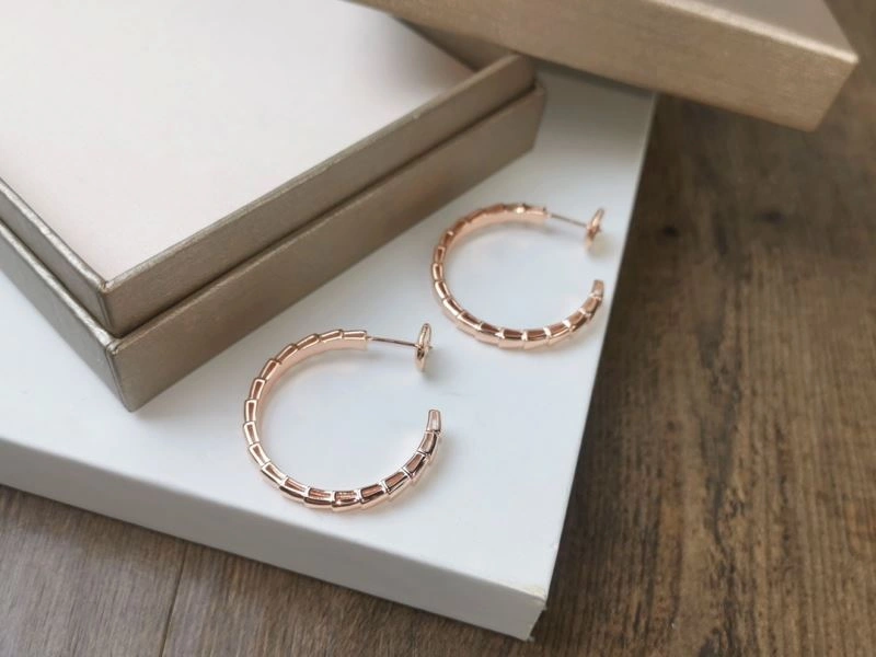 Reasonably priced Bvlgari Earrings