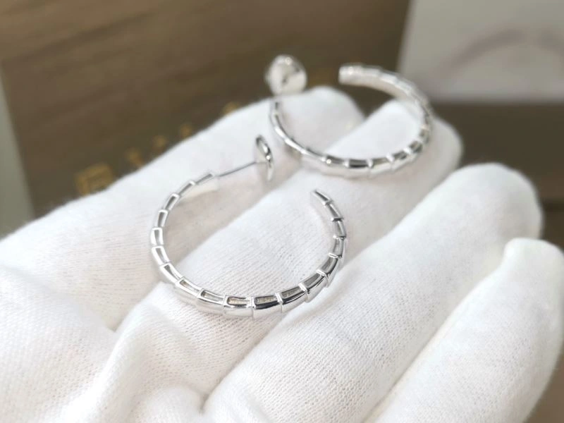 Reasonably priced Bvlgari Earrings