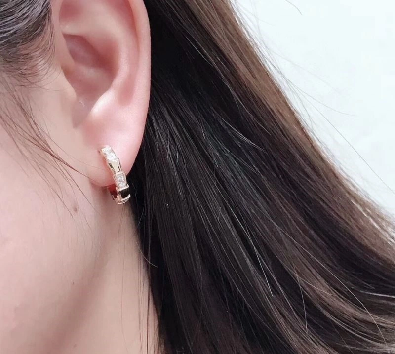 Bvlgari Earrings