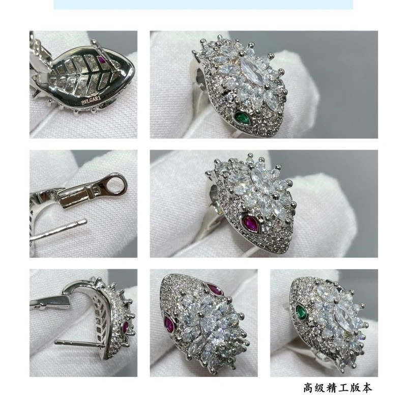 Reasonably priced Bvlgari Earrings