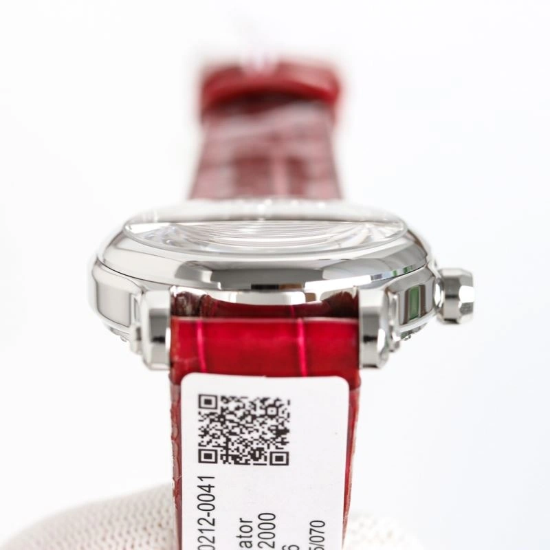 Indistinguishable CARTIER Watches