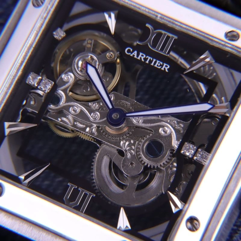 Real CARTIER Watches