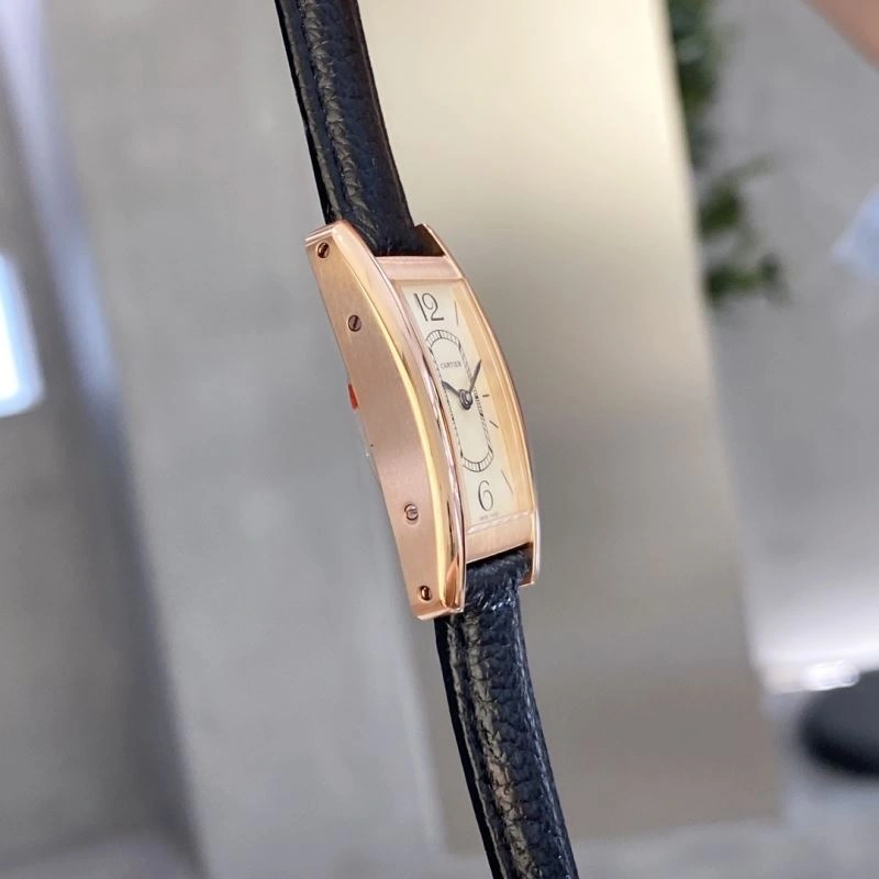 Budget-friendly CARTIER Watches