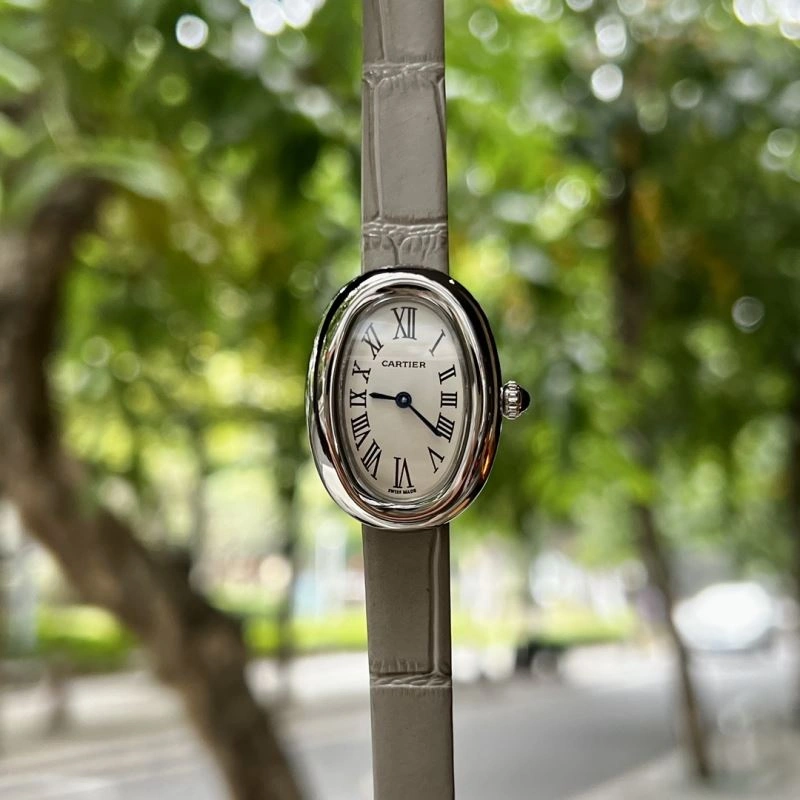 Value-priced CARTIER Watches