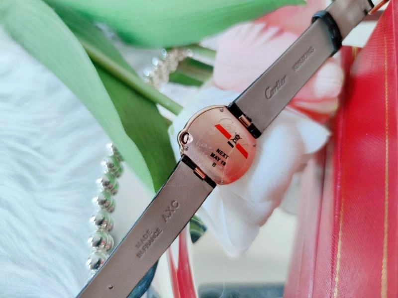 Legit CARTIER Watches