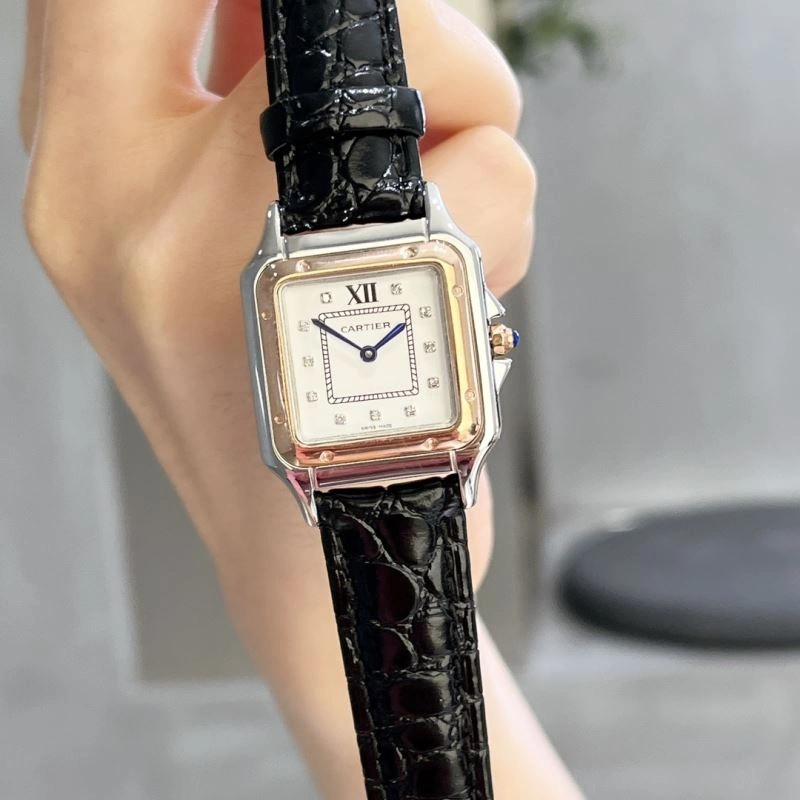 Mirror quality CARTIER Watches