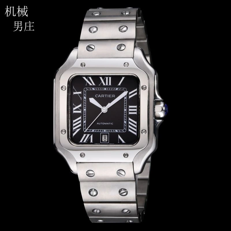 Reasonably priced CARTIER Watches