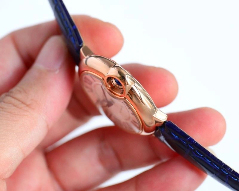 Indistinguishable CARTIER Watches