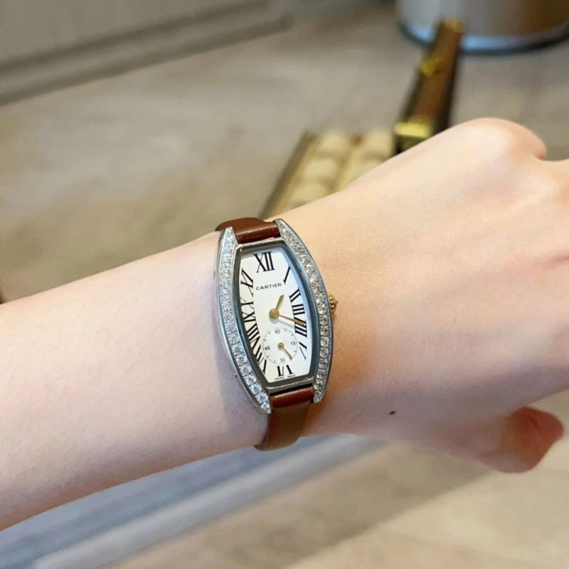 Budget-friendly CARTIER Watches