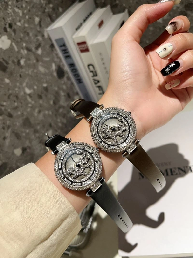 Legit CARTIER Watches