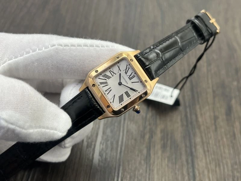 Budget-friendly CARTIER Watches