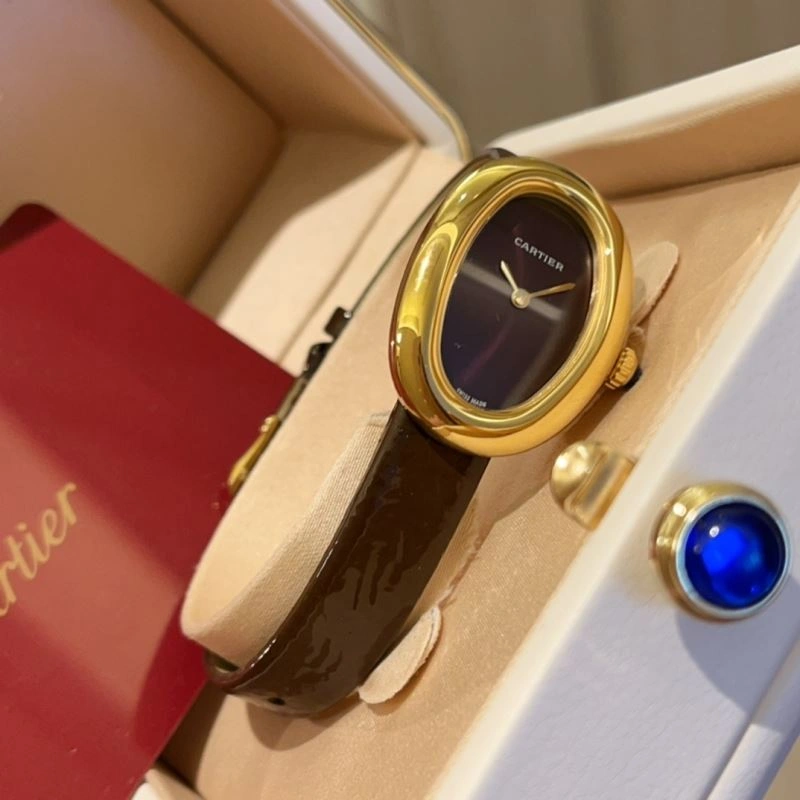Real CARTIER Watches