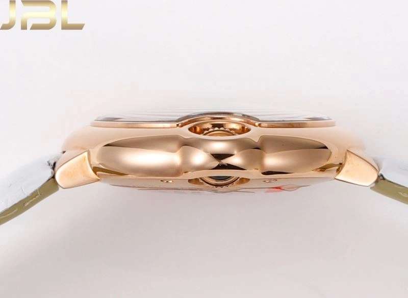 Real CARTIER Watches