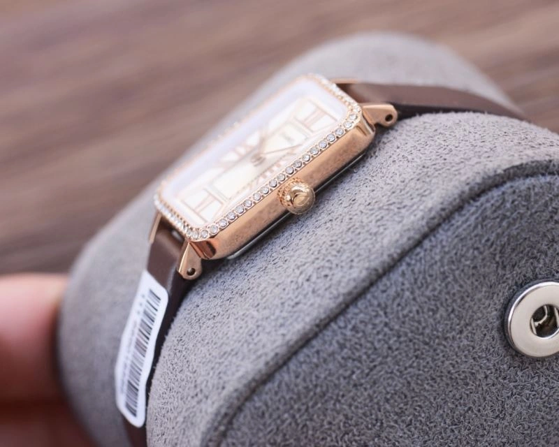 Real CHANEL Watches