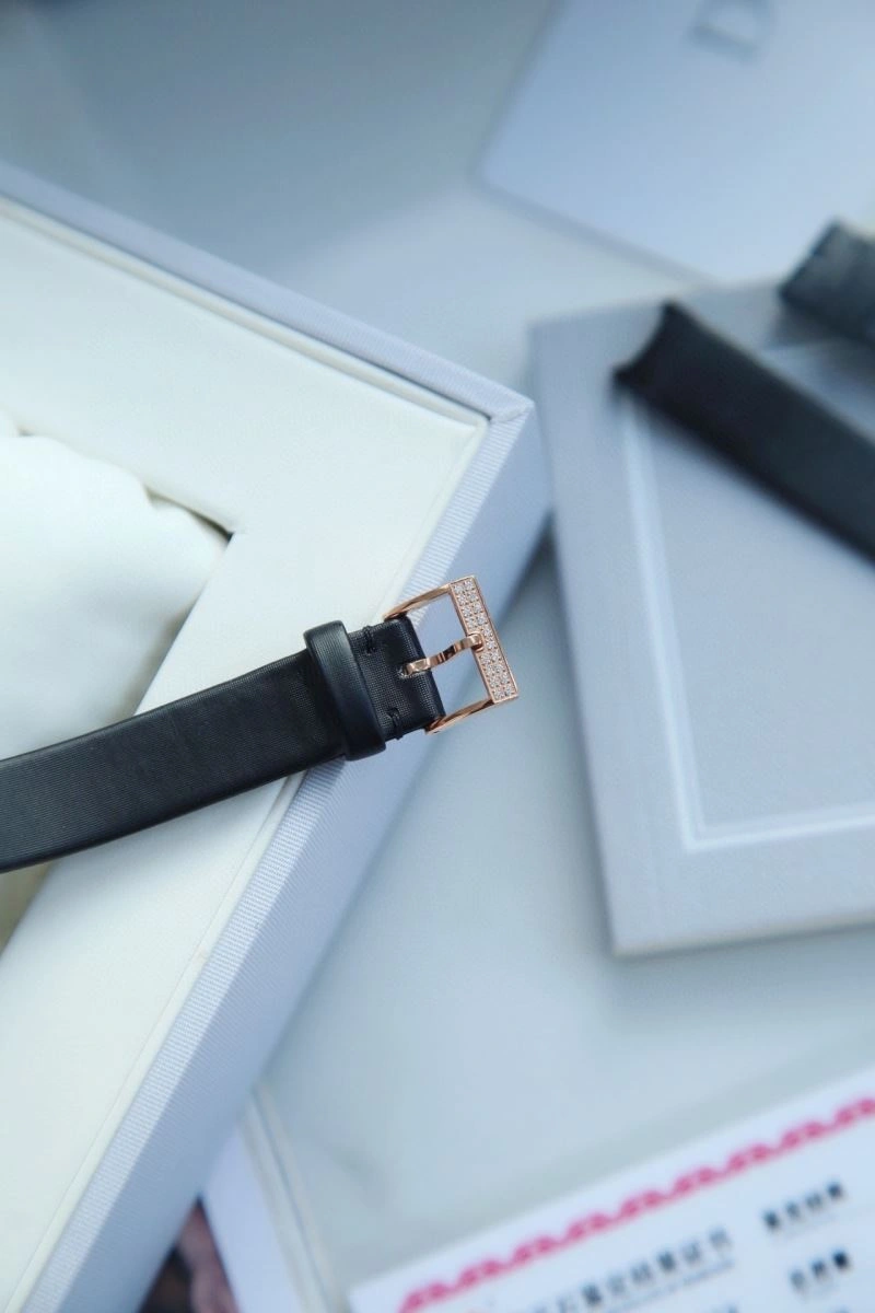 High accuracy CHRISTIAN DIOR Watches