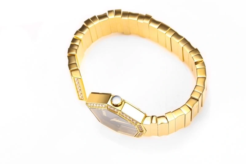 Authentic CHRISTIAN DIOR Watches