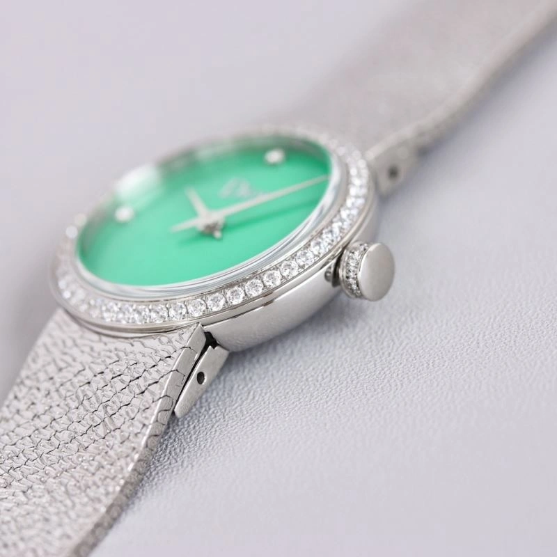 Brand-authenticated CHRISTIAN DIOR Watches